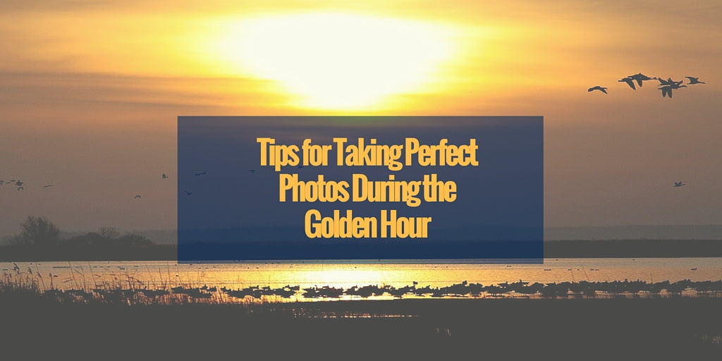 Tips for Taking Perfect Photos During the Golden Hour — Beach Camera