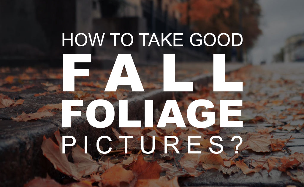 How to Take Good Fall Foliage Pictures? — Beach Camera