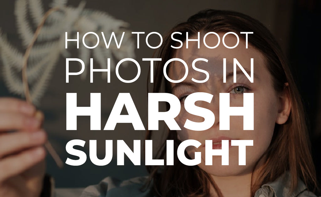 How to Shoot Photos in Harsh Sunlight — Beach Camera