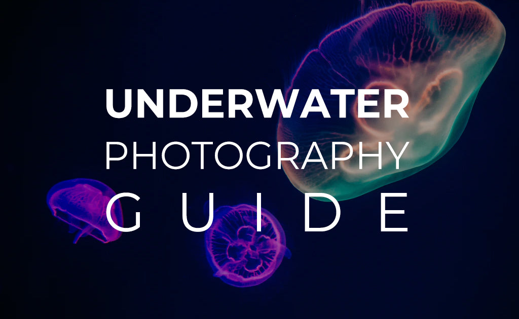 Underwater Photography Guide — Beach Camera