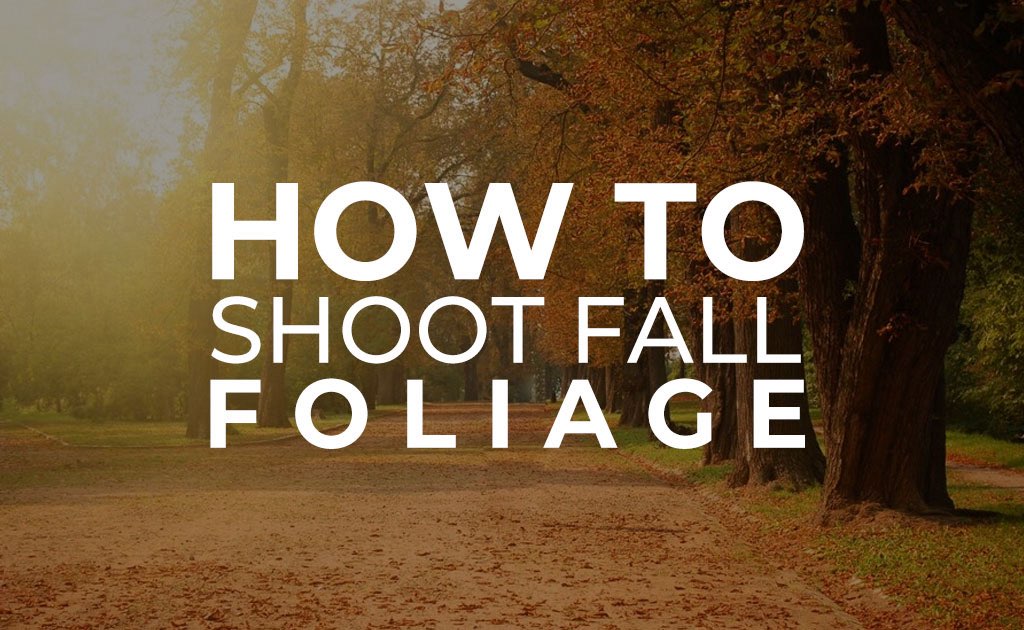 How to Shoot Fall Foliage — Beach Camera